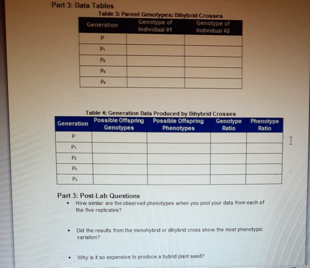 Part 3: Data Tables Table 3: Parent Genotypes: | Chegg.com