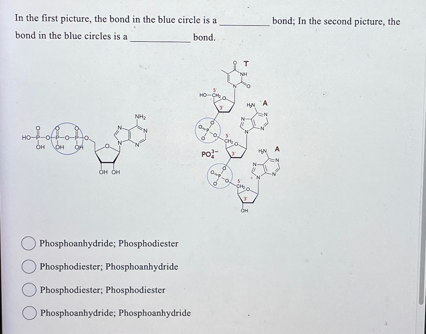 Solved In the first picture, the bond in the blue circle is | Chegg.com
