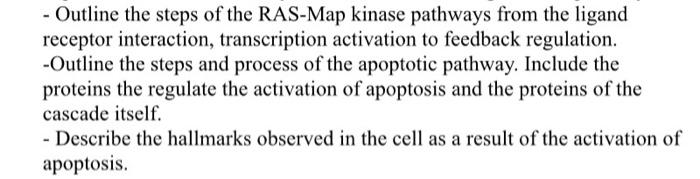Solved - Outline the steps of the RAS-Map kinase pathways | Chegg.com