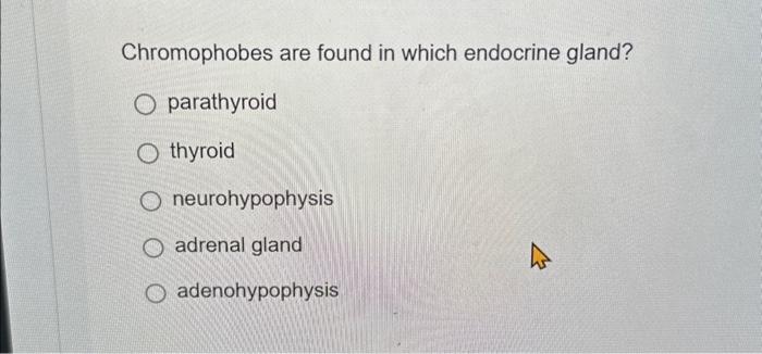 Solved Chromophobes are found in which endocrine gland? | Chegg.com