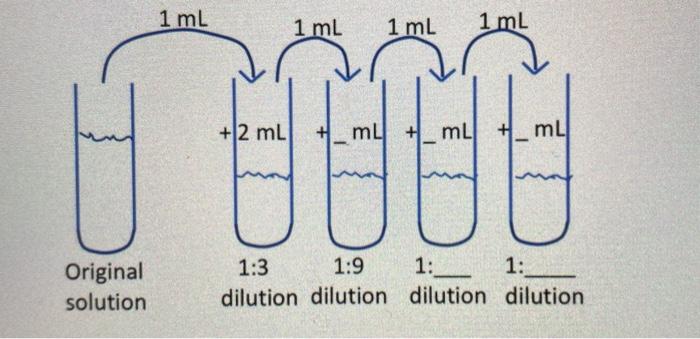 Solved what is the final dilution and volume of test tube | Chegg.com