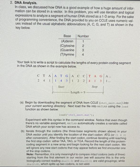 Solved 2. DNA Analysis. In class, we discussed how DNA is a | Chegg.com