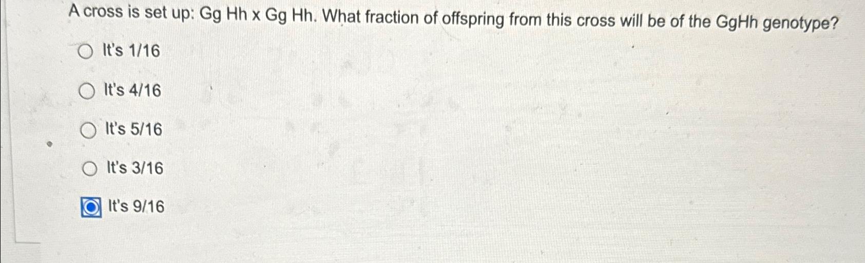 Solved A cross is set up: GgHh×GgHh. ﻿What fraction of | Chegg.com