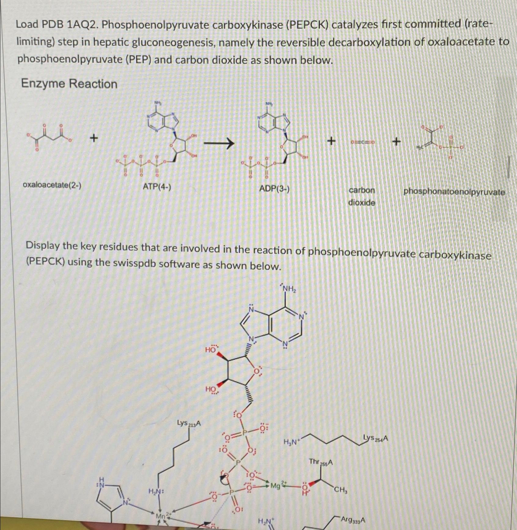 Solved Load PDB 1AQ2. ﻿Phosphoenolpyruvate carboxykinase | Chegg.com