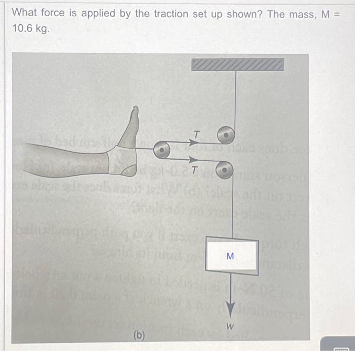 Solved What force is applied by the traction set up shown? | Chegg.com