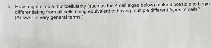 Solved 5. How might simple multicellularity (such as the 4 | Chegg.com