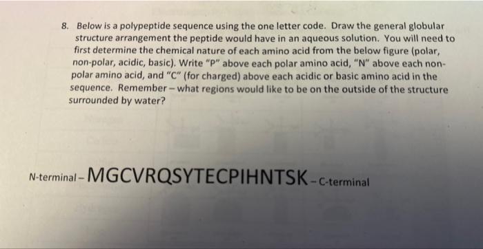 Solved 8. Below is a polypeptide sequence using the one | Chegg.com