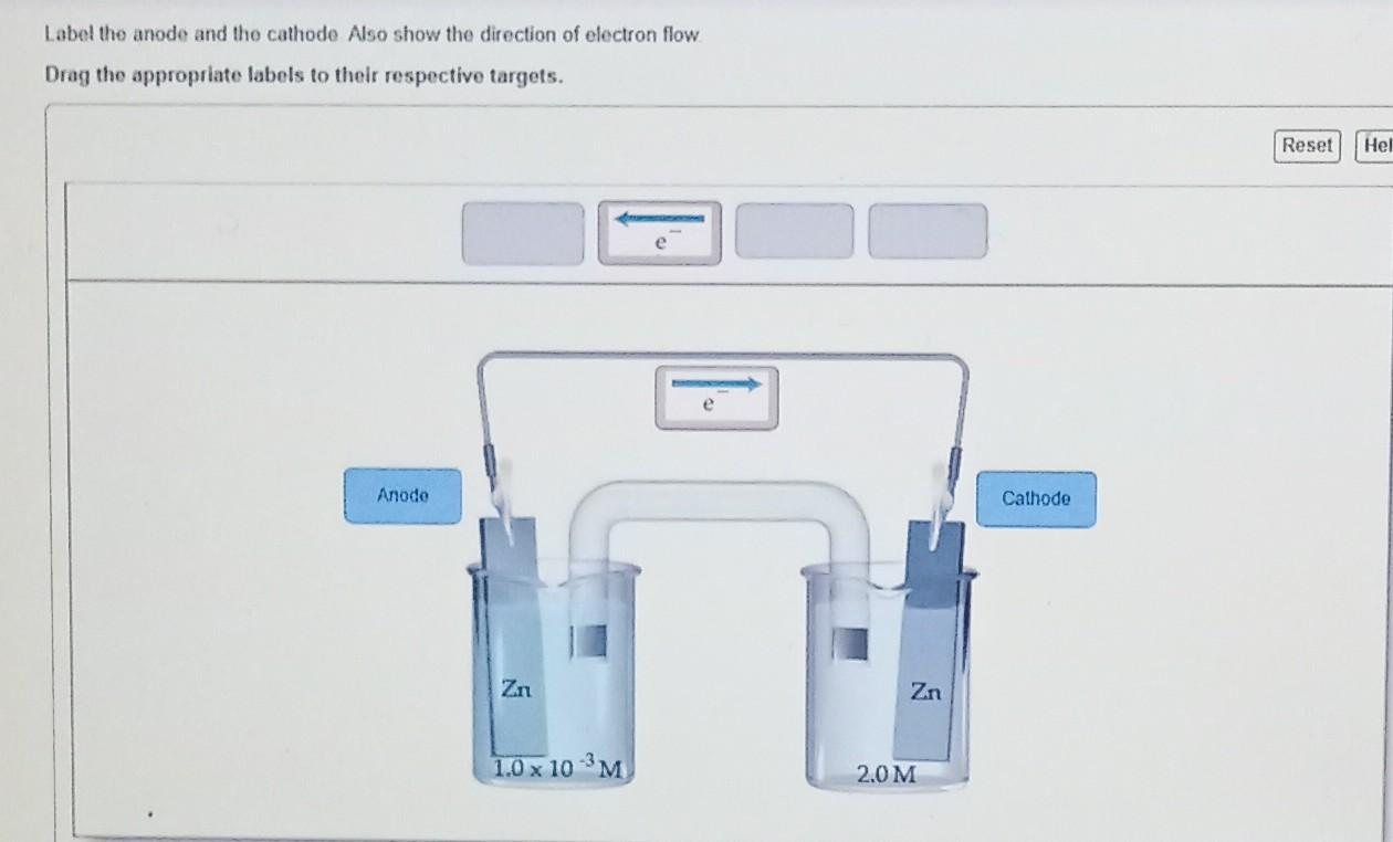 Solved Label the anode and the cathode Also show the | Chegg.com