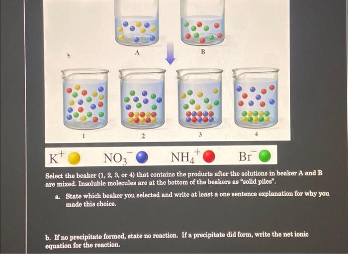 Solved Select the beaker (1,2,3, or 4) that contains the | Chegg.com