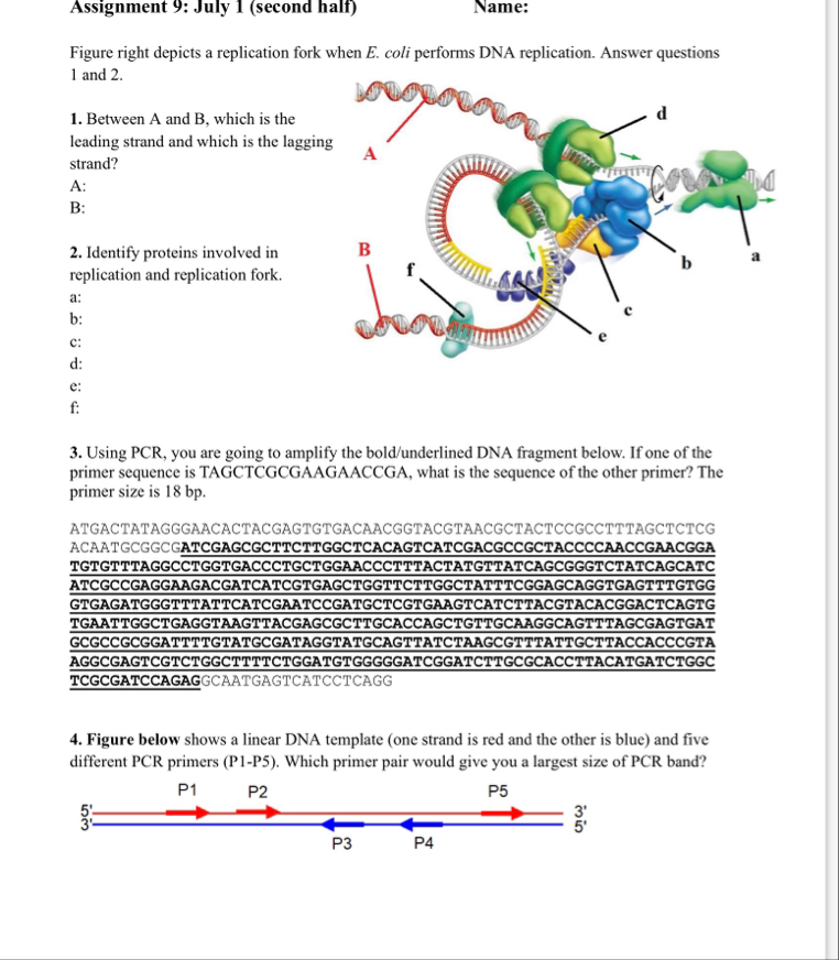 Solved Assignment 9: July 1 (second half)Name:Figure right | Chegg.com