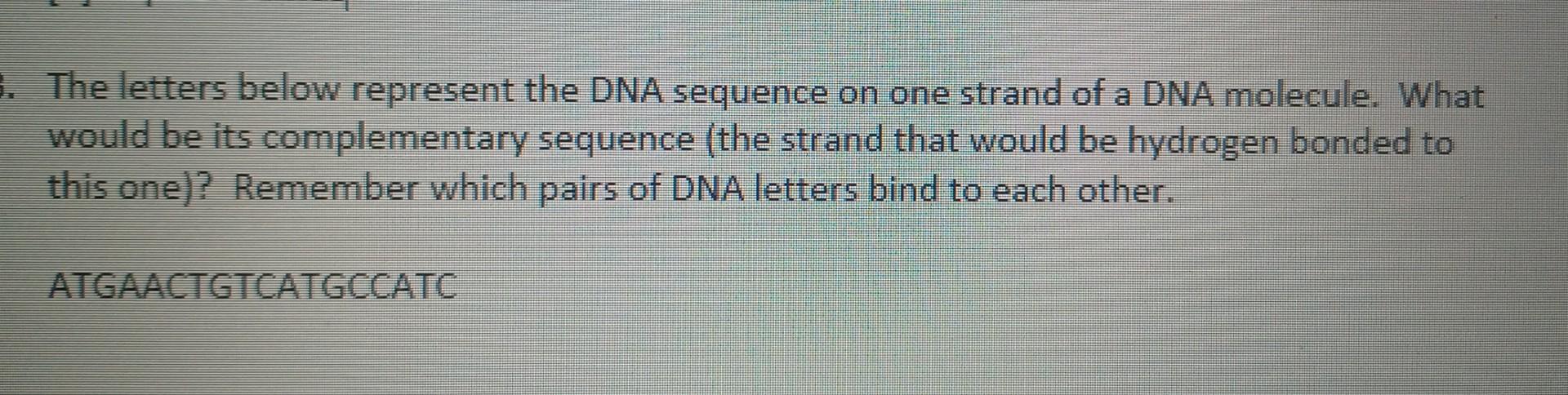 Solved The letters below represent the DNA sequence on one | Chegg.com
