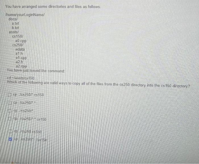 Solved You have arranged some directories and files as | Chegg.com