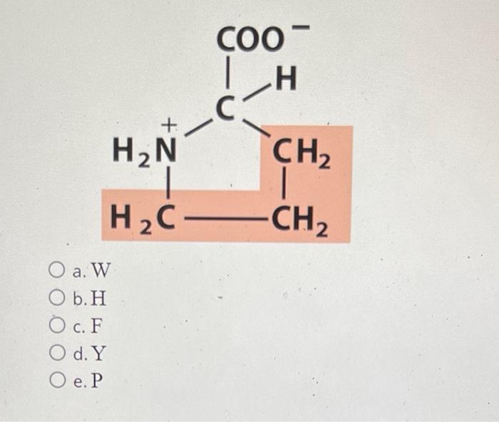 Solved COO H С + H2N CH2 H2C-CH2 O a. W O b.H O c. F Od. Y O | Chegg.com