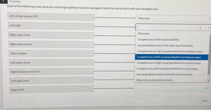 Solved Each of the following areas along the retinofugal | Chegg.com