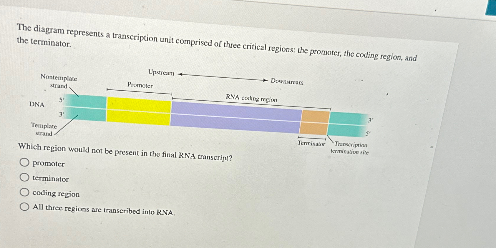 Solved The diagram represents a transcription unit comprised | Chegg.com