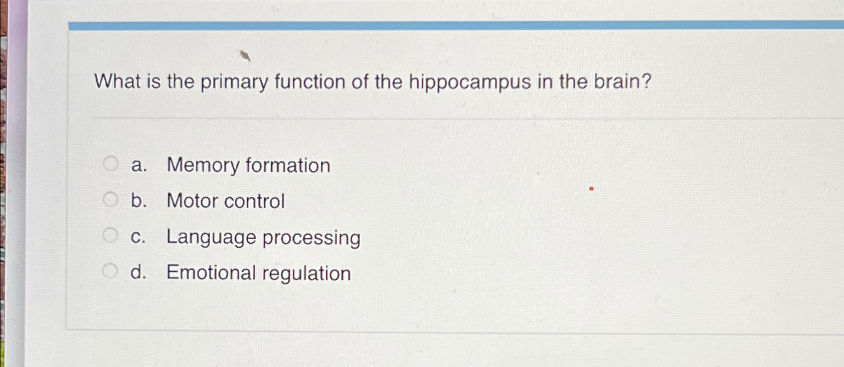 Solved What is the primary function of the hippocampus in | Chegg.com