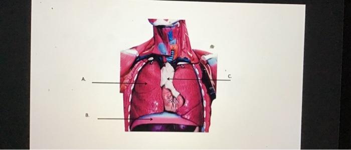 Solved identify structure from A to C | Chegg.com