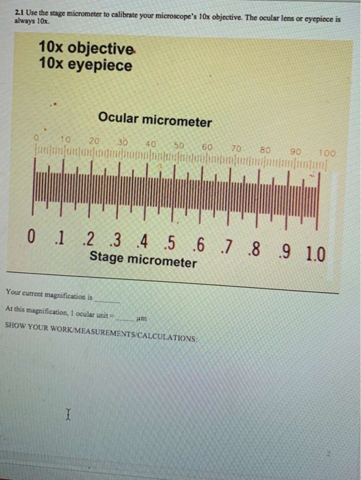 Solved 2.1 Use the stage micrometer to calibrate your | Chegg.com