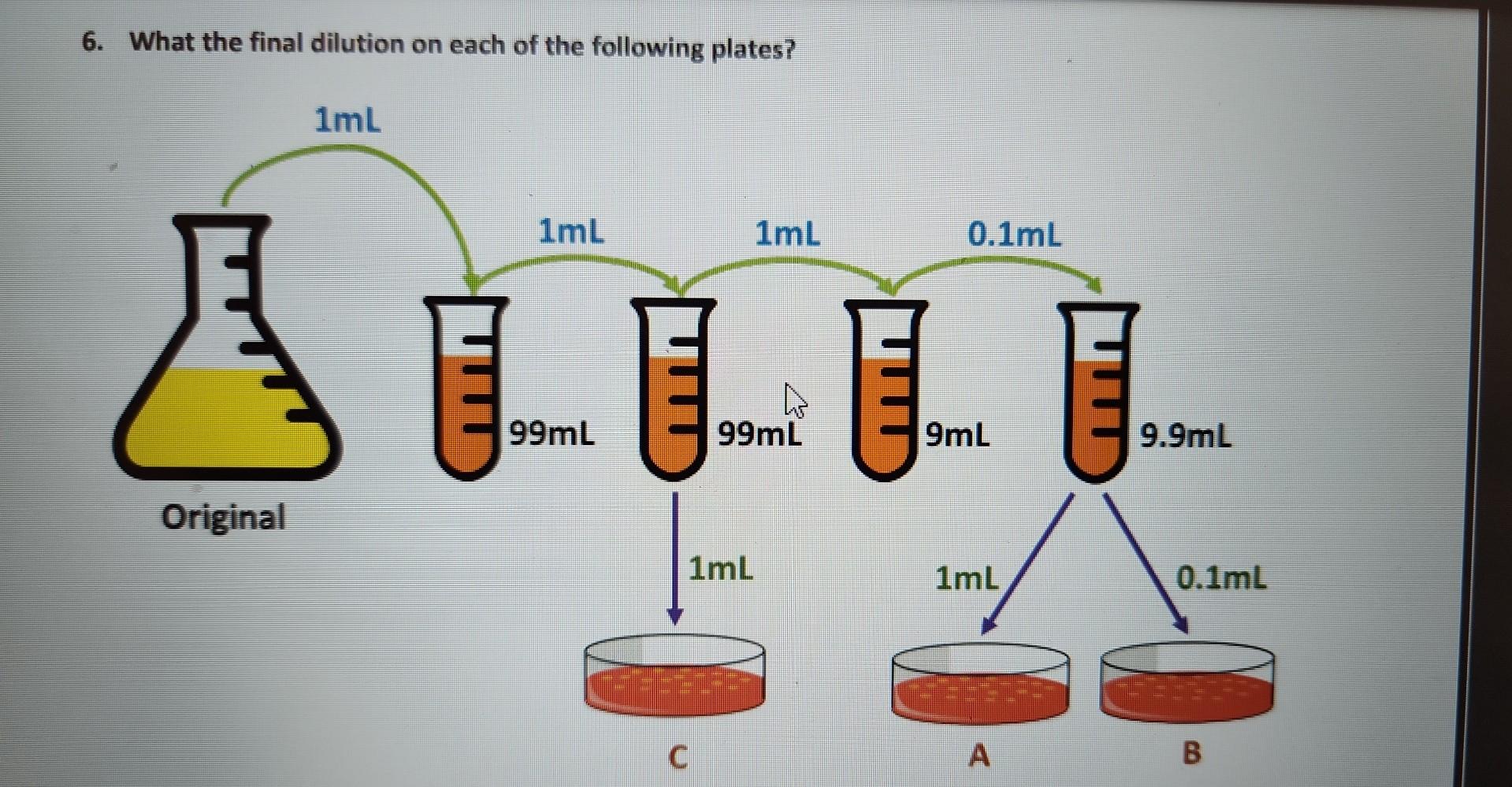 6. What the final dilution on each of the following | Chegg.com