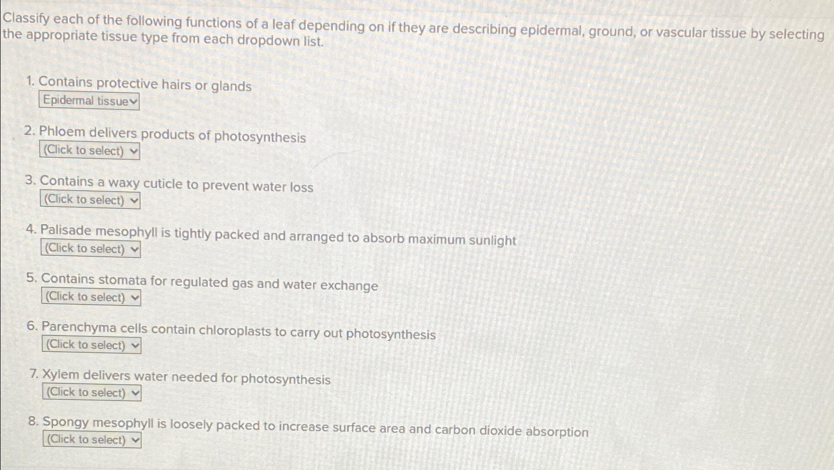 Solved Classify each of the following functions of a leaf | Chegg.com