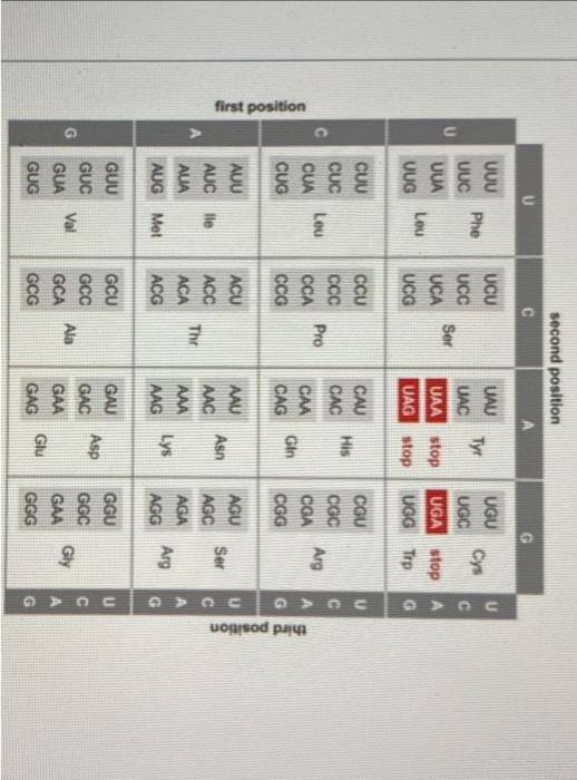 Solved 1) Use the chart to translate the following mRNA | Chegg.com