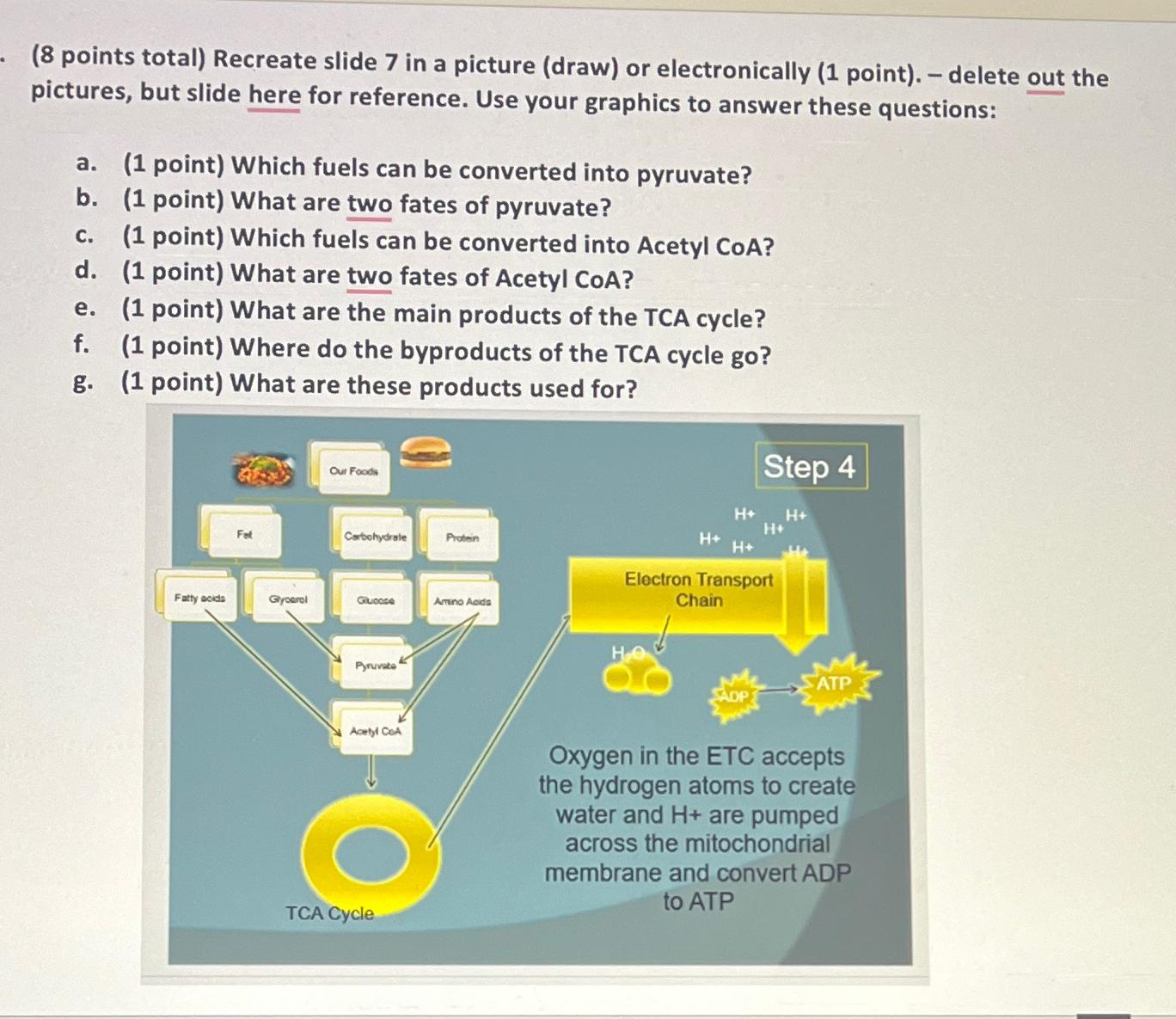Solved (8 ﻿points total) ﻿Recreate slide 7 ﻿in a picture | Chegg.com