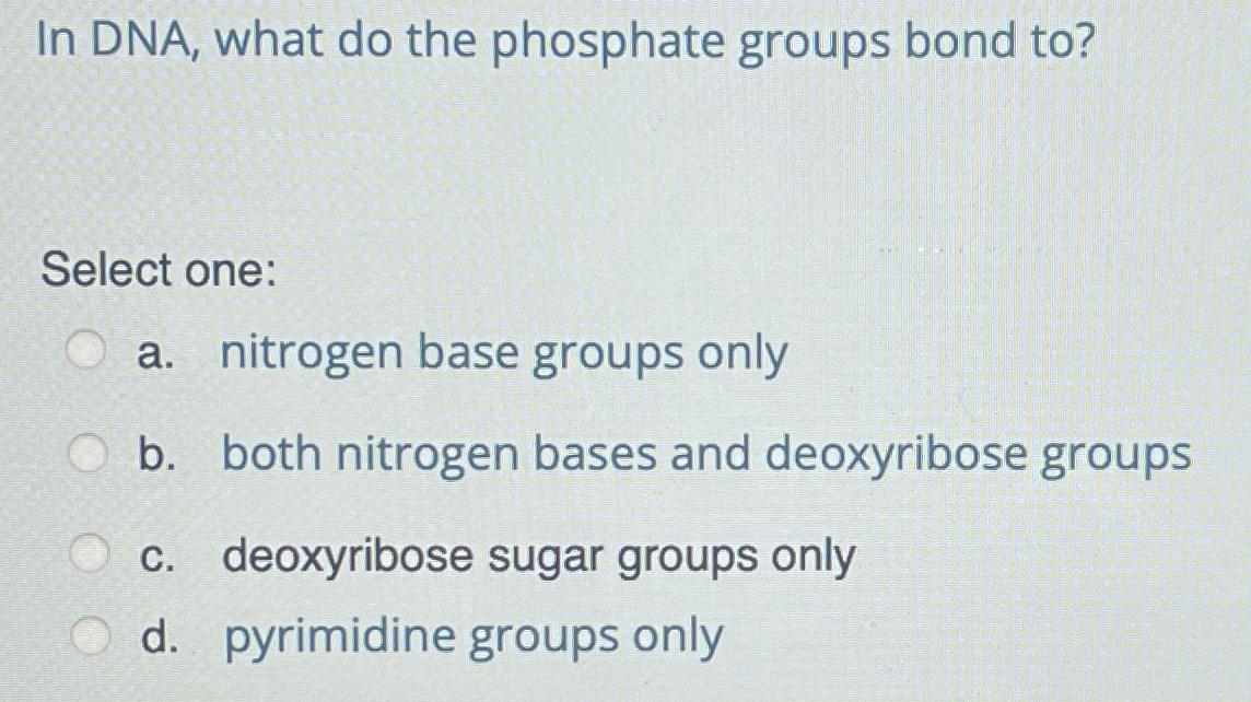 Solved In DNA, what do the phosphate groups bond to?Select | Chegg.com