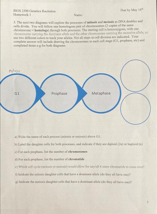 Solved BIOS 2500 Genetics Recitation Due by May 184 Homework | Chegg.com