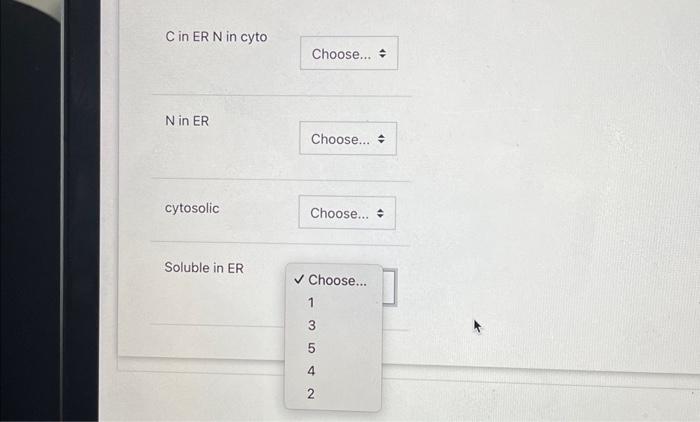 At left are a set of protein arrangements in the ER | Chegg.com