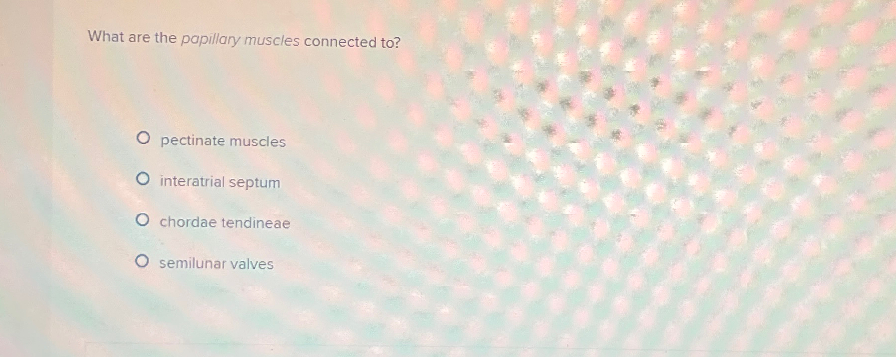 Solved What are the papillary muscles connected to?pectinate | Chegg.com