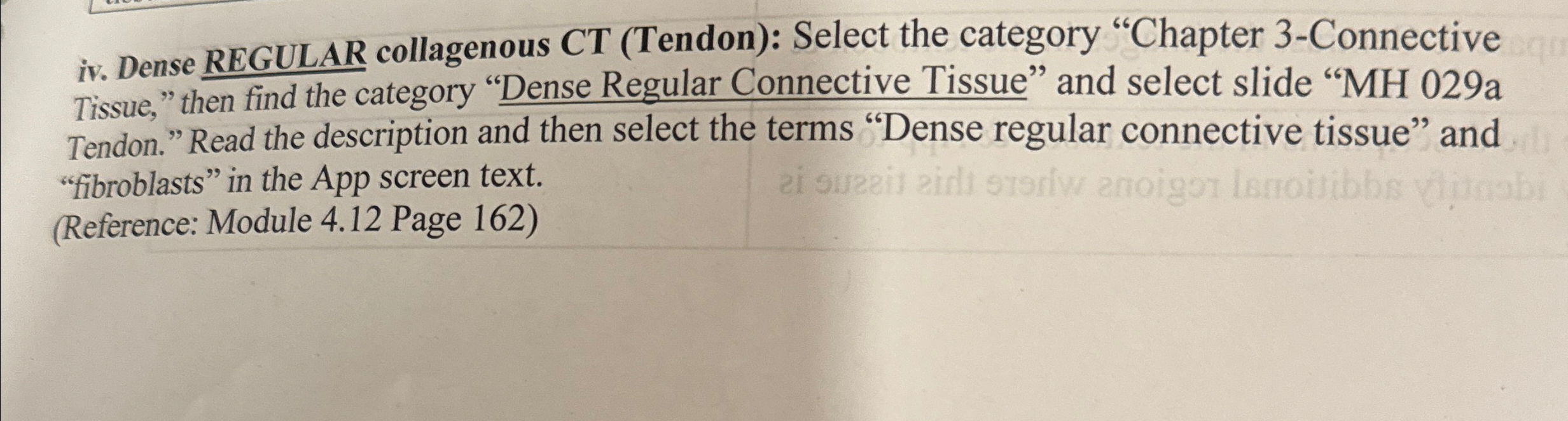 Solved iv. ﻿Dense REGULAR collagenous CT (Tendon): Select | Chegg.com