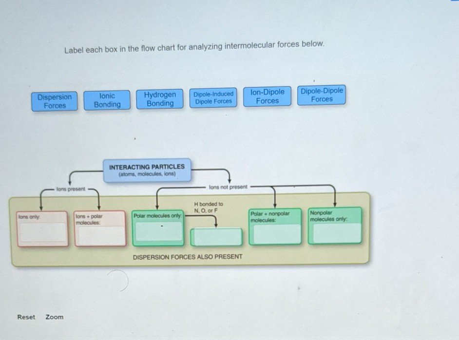Solved Label each box in the flow chart for analyzing | Chegg.com