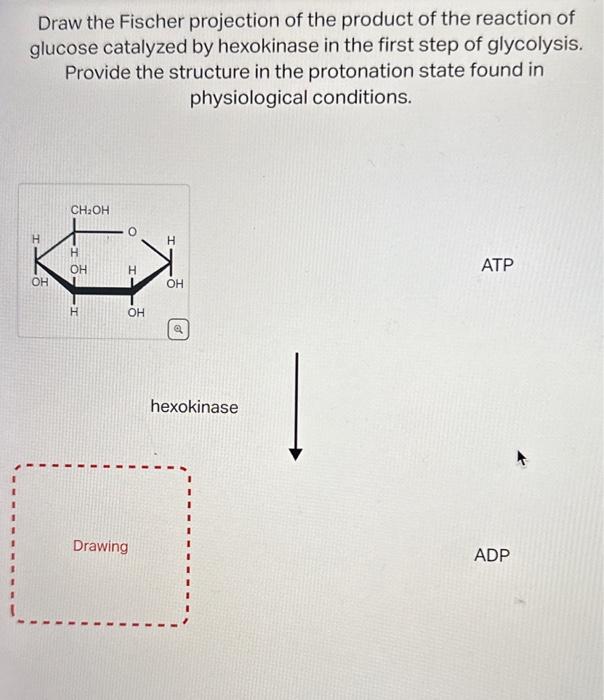 Solved Draw the Fischer projection of the product of the | Chegg.com