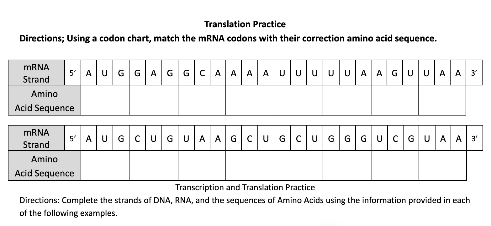 Solved Translation Practice Directions; Using a codon chart, | Chegg.com