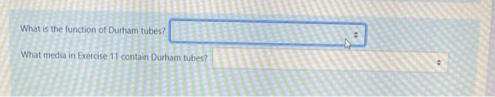 Solved What is the function of Durham tubes? What media in | Chegg.com