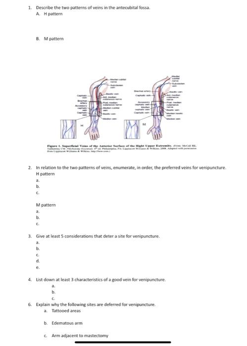 Solved 1. Describe the two patterns of veins in the | Chegg.com