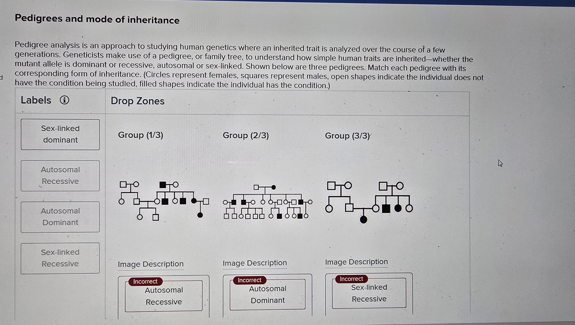 Solved Pedigrees and mode of inheritancePedigree analysis is | Chegg.com