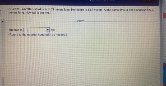 Solved At 3pm., Coretta's shadow is 1.03 meters long. Her | Chegg.com