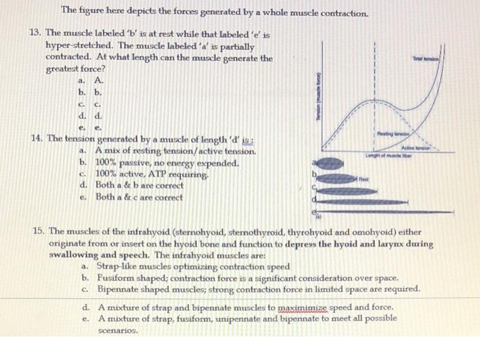 Solved Tolo The figure here depicts the forces generated by | Chegg.com
