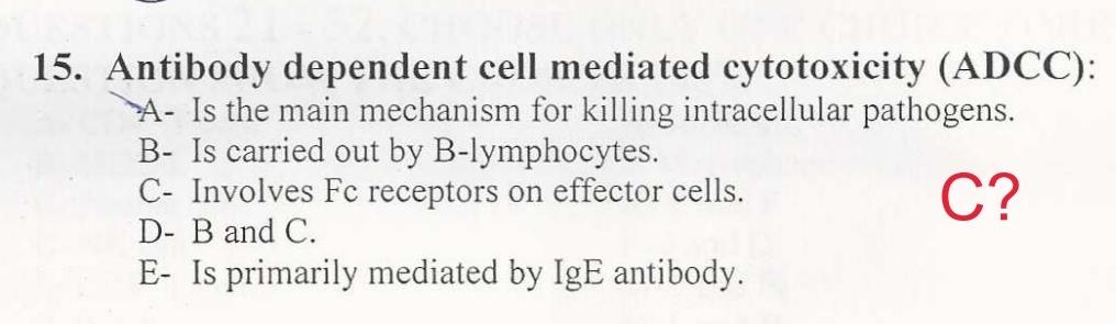 Solved Antibody dependent cell mediated cytotoxicity | Chegg.com
