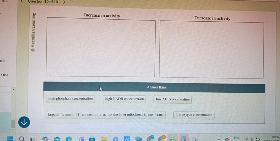 Solved Increase in activity And decrease activiyu Answer | Chegg.com