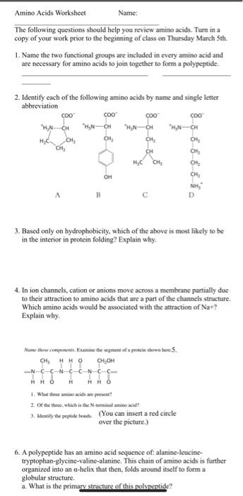 Solved Amino Acids Worksheet Name: The following questions | Chegg.com