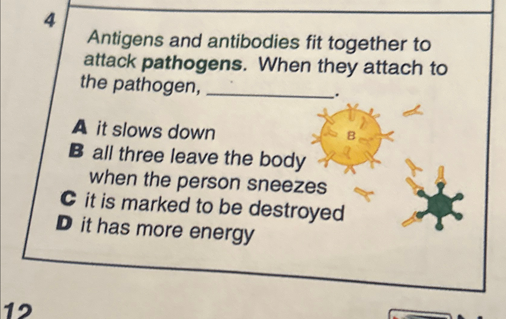 Solved 4Antigens and antibodies fit together to attack | Chegg.com