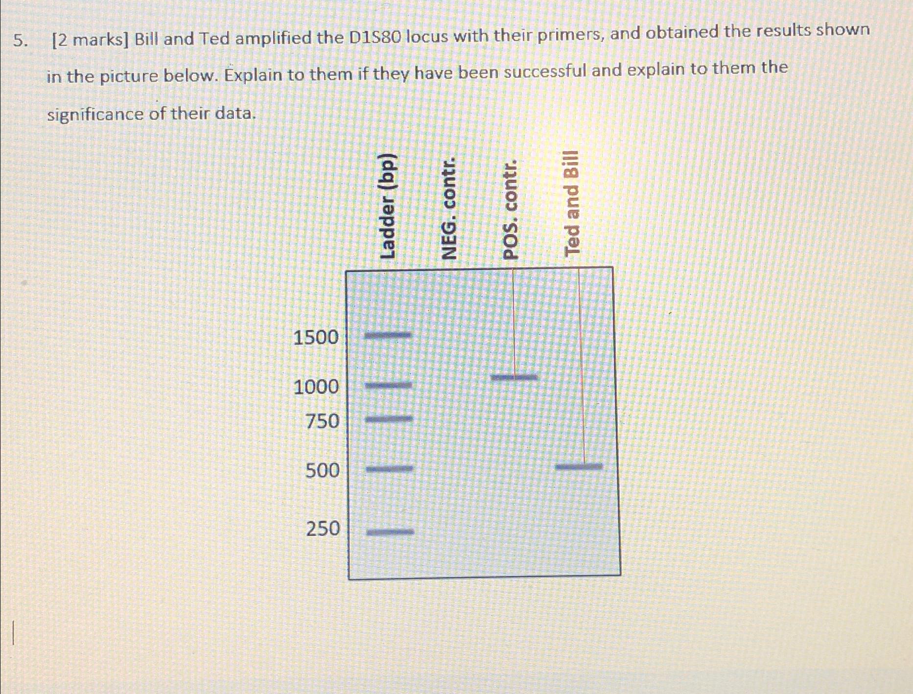 Solved [2 ﻿marks] ﻿Bill and Ted amplified the D1S80 ﻿locus | Chegg.com