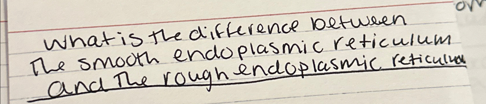 Solved What is the difference between The smooth endoplasmic | Chegg.com