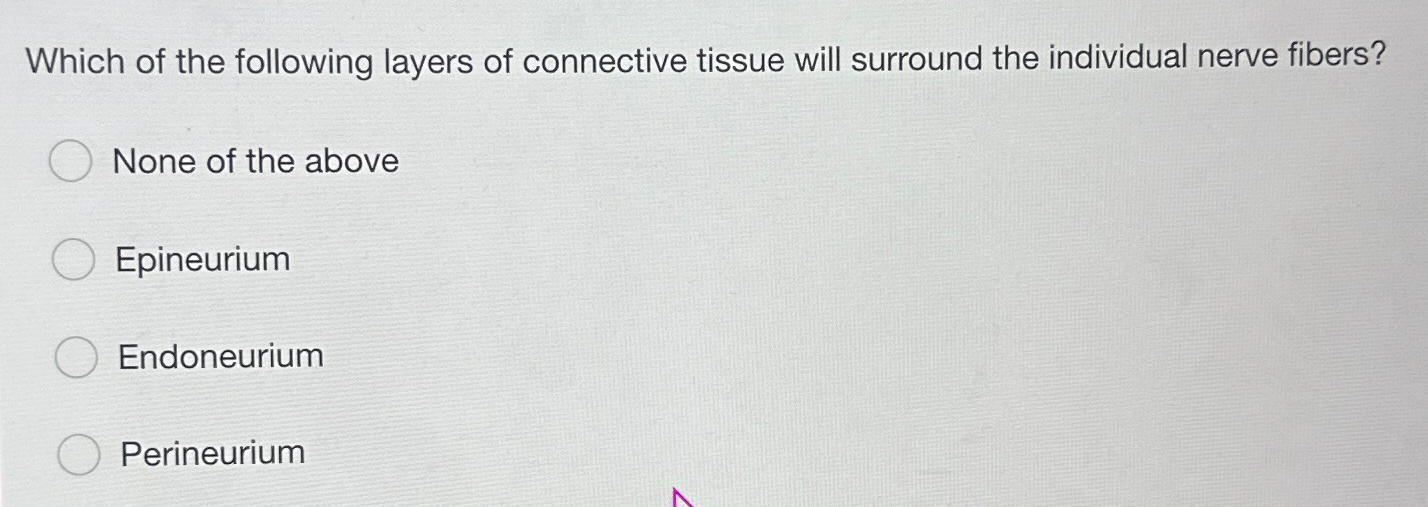 Solved Which of the following layers of connective tissue | Chegg.com