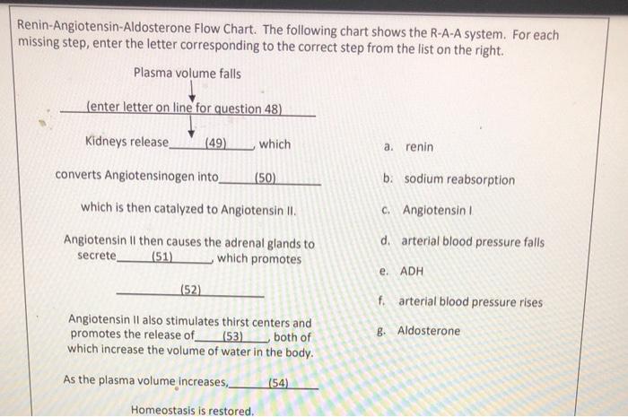 Solved Renin-Angiotensin-Aldosterone Flow Chart. The | Chegg.com