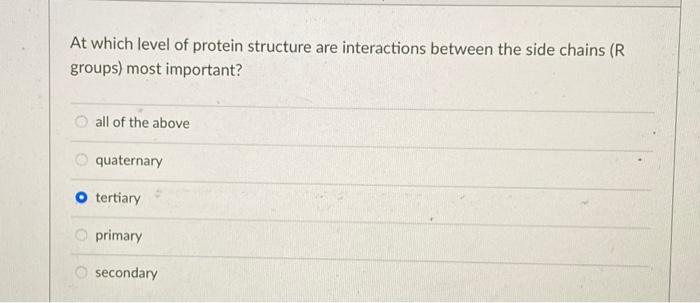 Solved At which level of protein structure are interactions | Chegg.com
