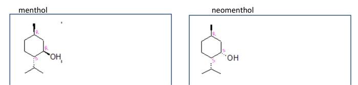 Solved menthol neomenthol | Chegg.com