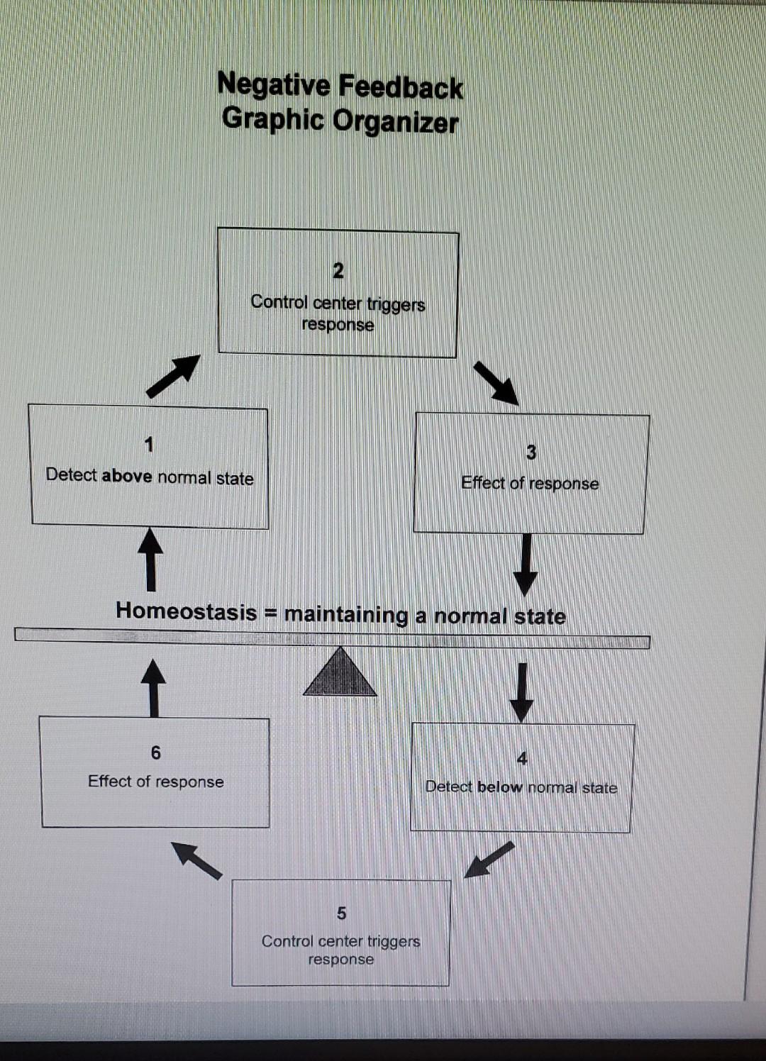 Solved Negative Feedback Graphic Organizer Control center | Chegg.com